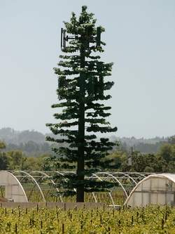 Which Stealth Cell Tower is more Stealthy? - Steel In The Air