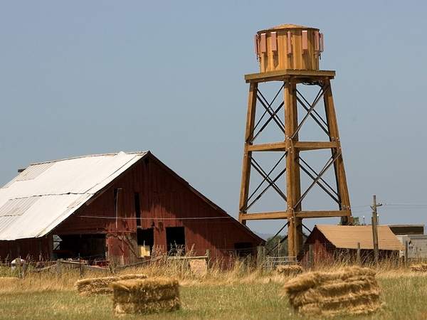 Which Stealth Cell Tower is more Stealthy? - Steel In The Air
