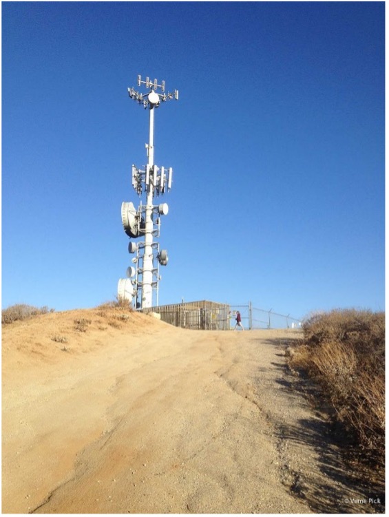 2024 Rural Cell Tower Lease Update – Steel in the Air - Steel In The Air