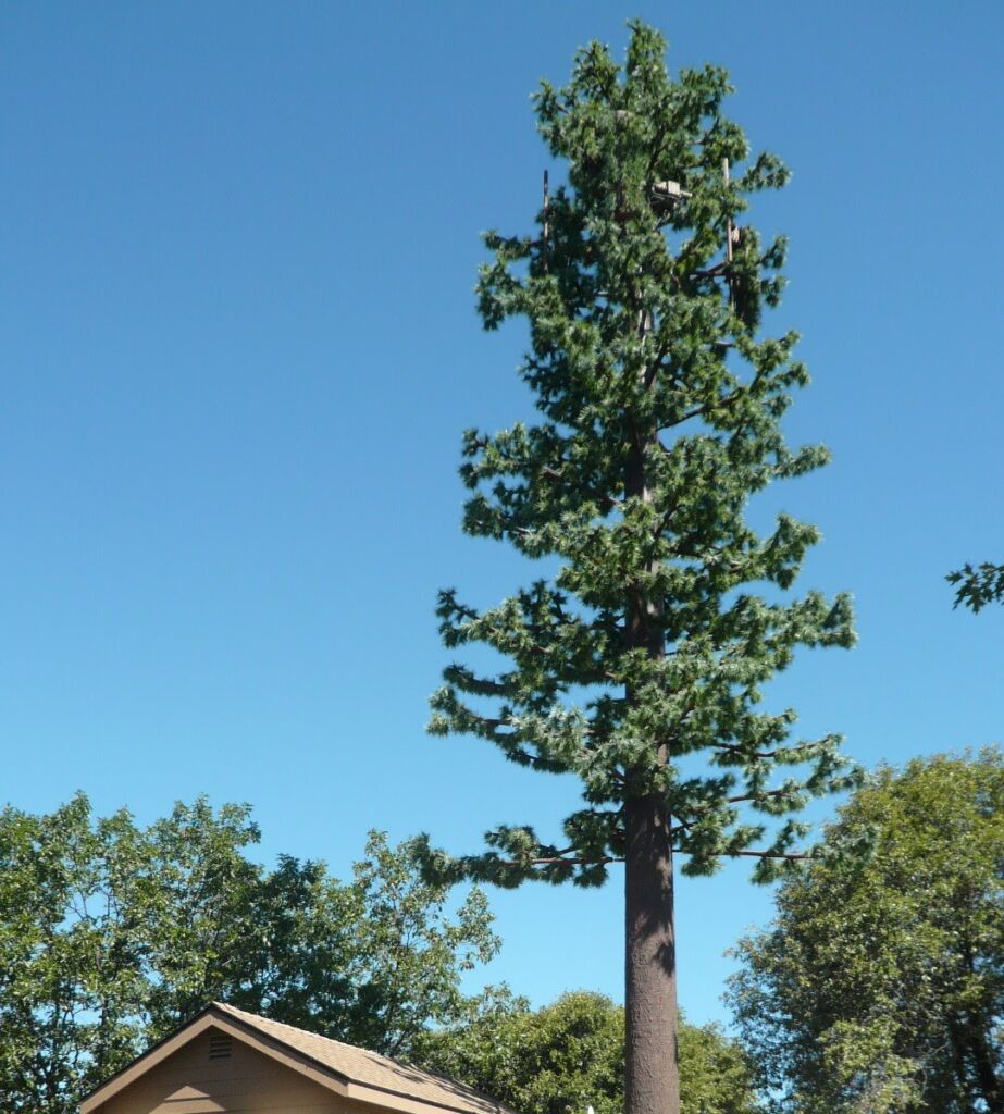 Vertical Bridge Cell Tower Leases - Steel In The Air